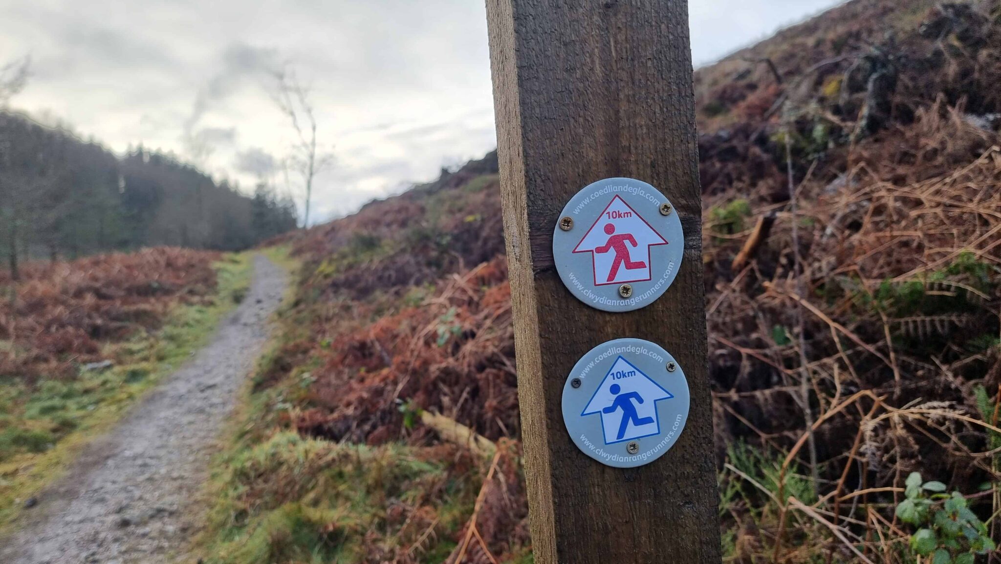 Llandegla Walking Trails - Explore Wales Trails